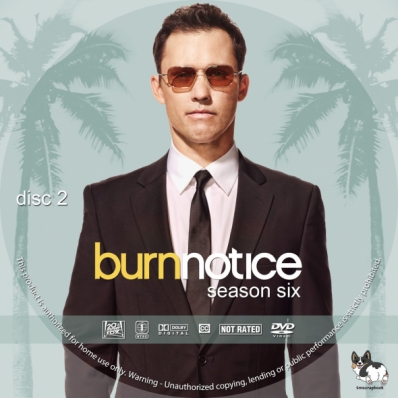 CoverCity - DVD Covers & Labels - Burn Notice - Season 6, disc 2