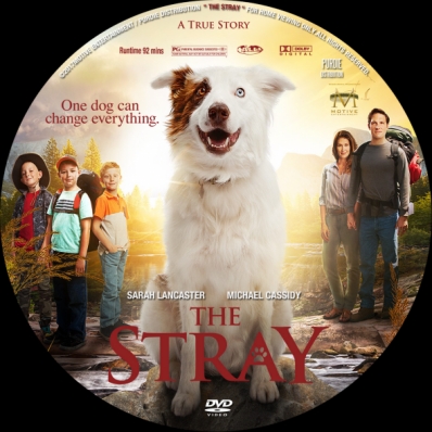 CoverCity - DVD Covers & Labels - The Stray