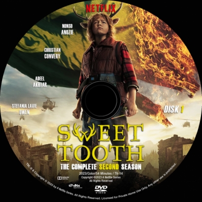 CoverCity - DVD Covers & Labels - Sweet Tooth - Season 2; disk 1