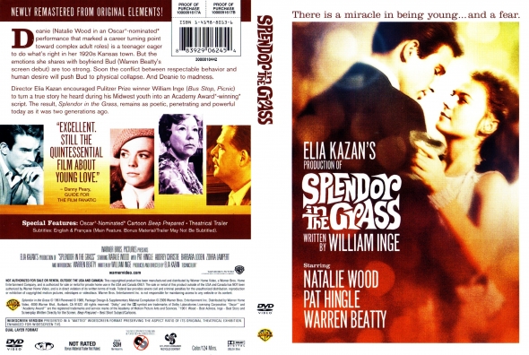 CoverCity - DVD Covers & Labels - Splendor in the Grass