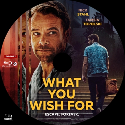 CoverCity - DVD Covers & Labels - What You Wish For