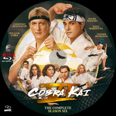 CoverCity - DVD Covers & Labels - Cobra Kai - Season 6