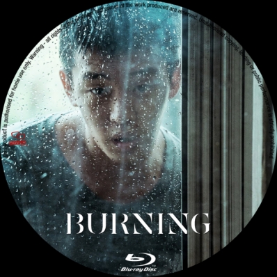 CoverCity - DVD Covers & Labels - Burning
