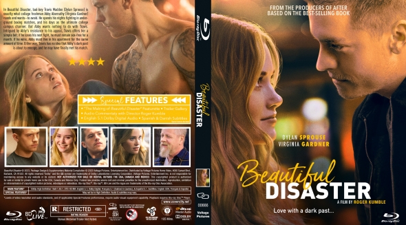 CoverCity - DVD Covers & Labels - Beautiful Disaster