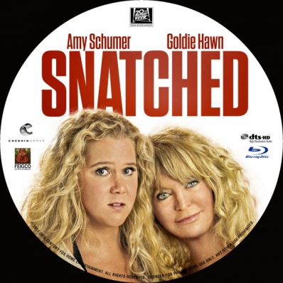 CoverCity - DVD Covers & Labels - Snatched