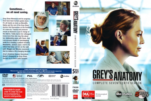 CoverCity - DVD Covers & Labels - Grey's Anatomy - Season 17