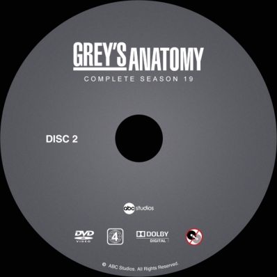 CoverCity - DVD Covers & Labels - Grey's Anatomy - Season 19; disc 2