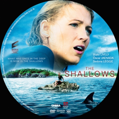 CoverCity - DVD Covers & Labels - The Shallows