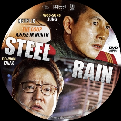 CoverCity - DVD Covers & Labels - Steel Rain