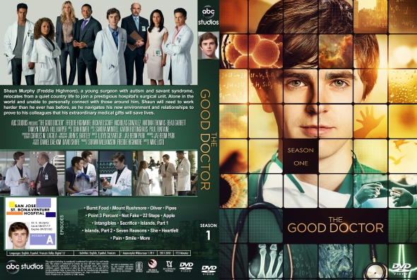 CoverCity - DVD Covers & Labels - The Good Doctor - Season 1