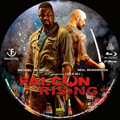 CoverCity - DVD Covers & Labels - Falcon Rising
