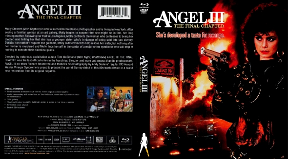 CoverCity - DVD Covers & Labels - Angel III: The Final Chapter