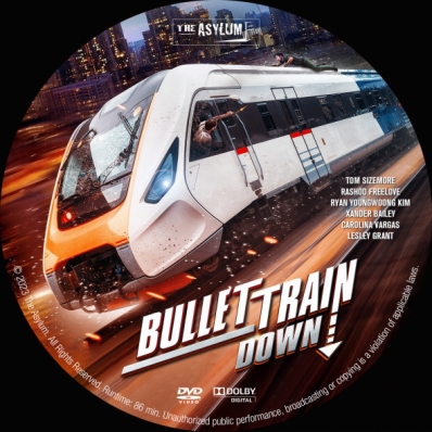 CoverCity - DVD Covers & Labels - Bullet Train Down