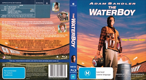 CoverCity - DVD Covers & Labels - The Waterboy
