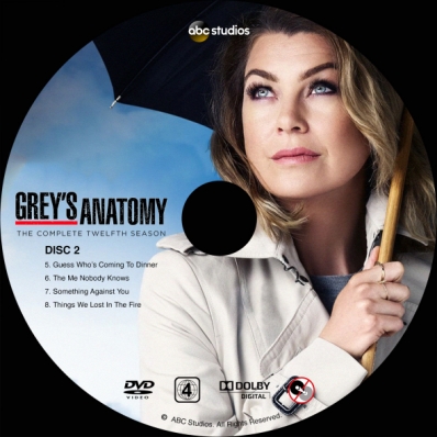 CoverCity - DVD Covers & Labels - Grey's Anatomy - Season 12; disc 2