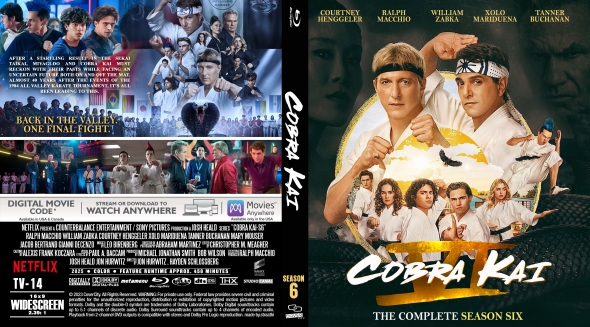 CoverCity - DVD Covers & Labels - Cobra Kai - Season 6