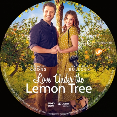 CoverCity - DVD Covers & Labels - Love Under the Lemon Tree