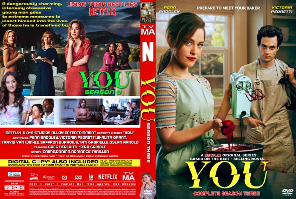 CoverCity - DVD Covers & Labels - You - Season 3
