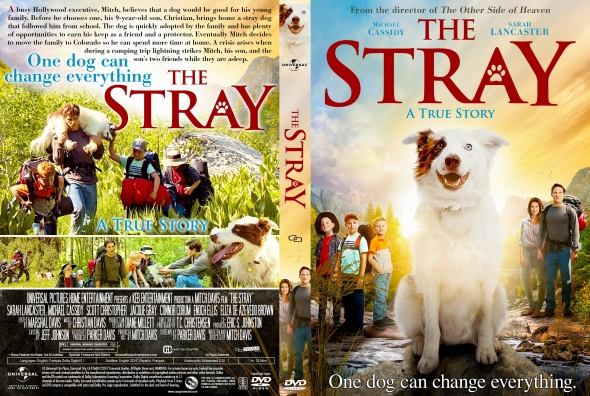 CoverCity - DVD Covers & Labels - The Stray