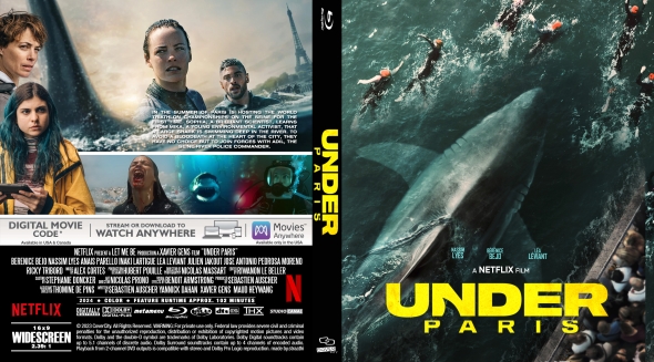 CoverCity - DVD Covers & Labels - Under Paris