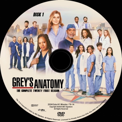 CoverCity - DVD Covers & Labels - Grey's Anatomy - Season 21; disk 1