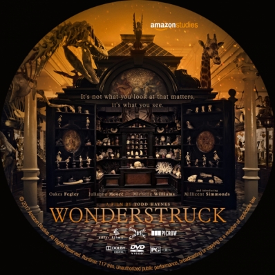 CoverCity - DVD Covers & Labels - Wonderstruck