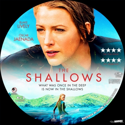 CoverCity - DVD Covers & Labels - The Shallows
