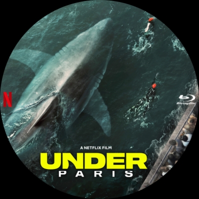 CoverCity - DVD Covers & Labels - Under Paris