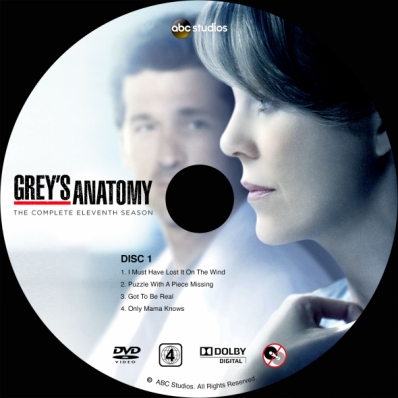 CoverCity - DVD Covers & Labels - Grey's Anatomy - Season 11; disc 1