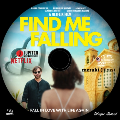 CoverCity - DVD Covers & Labels - Find Me Falling