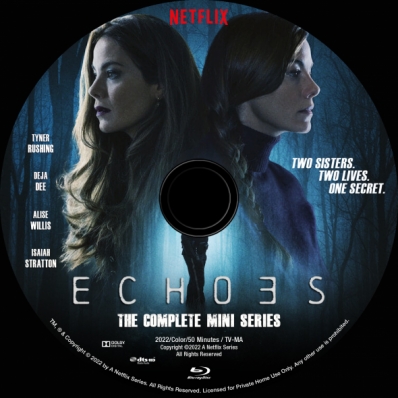 CoverCity - DVD Covers & Labels - Echoes - Mini Series