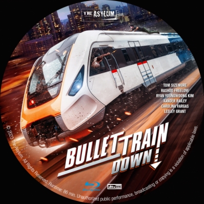 CoverCity - DVD Covers & Labels - Bullet Train Down