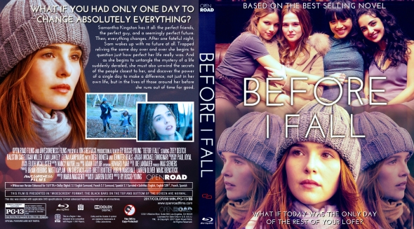 CoverCity - DVD Covers & Labels - Before I Fall