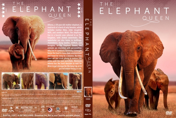 CoverCity - DVD Covers & Labels - The Elephant Queen