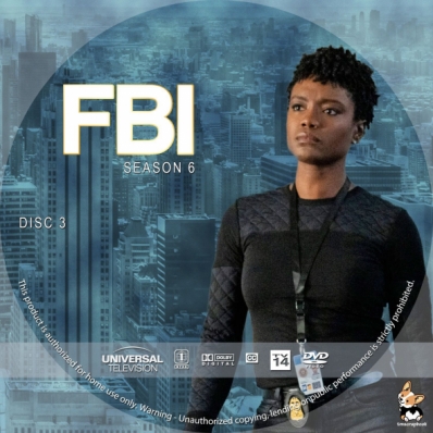 CoverCity - DVD Covers & Labels - FBI - Season 6; disc 3