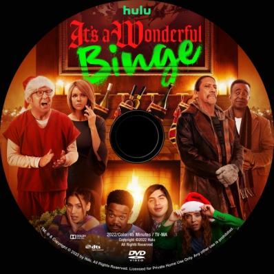 CoverCity - DVD Covers & Labels - The Binge 2: It's A Wonderful Binge